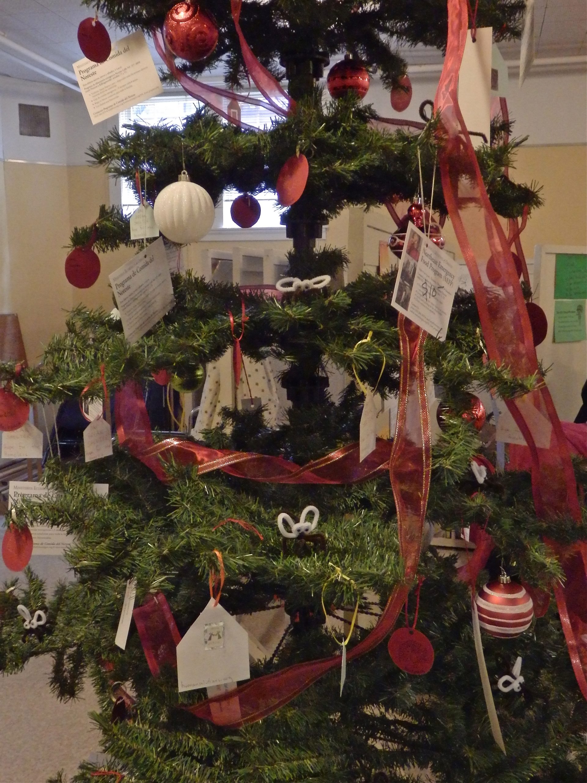 SS-tree – Fremont United Methodist Church